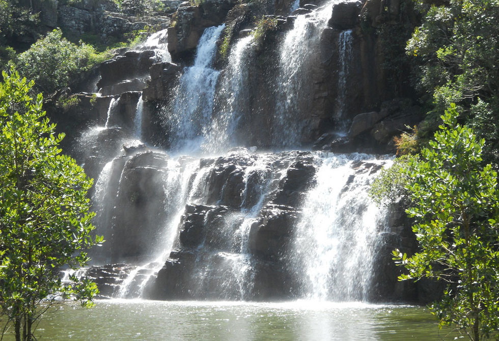 Venda Sacred Forest Walk